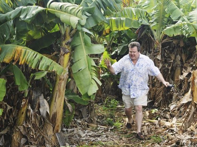 modernfamily_hawaii4 | the TV addict